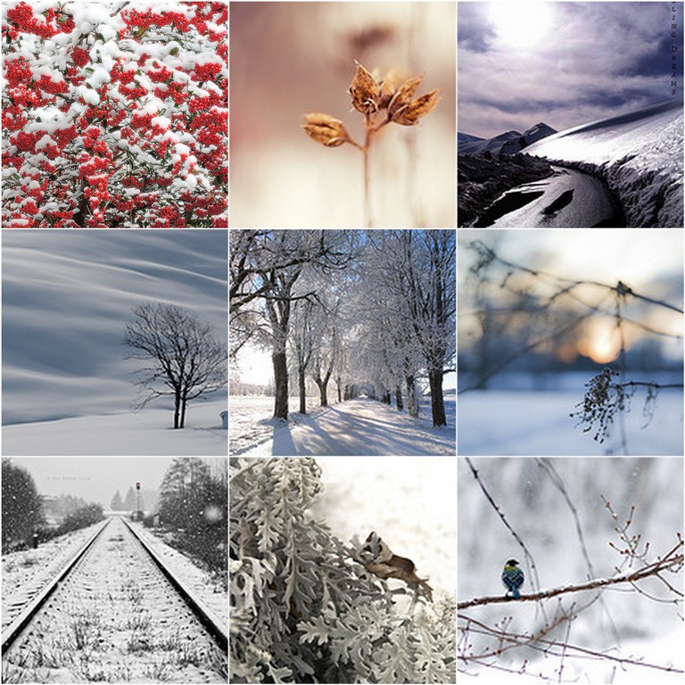 Winter Photos That Take My Breathe Away - Motherhood Defined