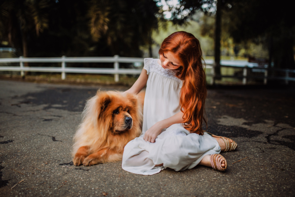 Tips for Introducing a New Pet to the Family - Motherhood Defined