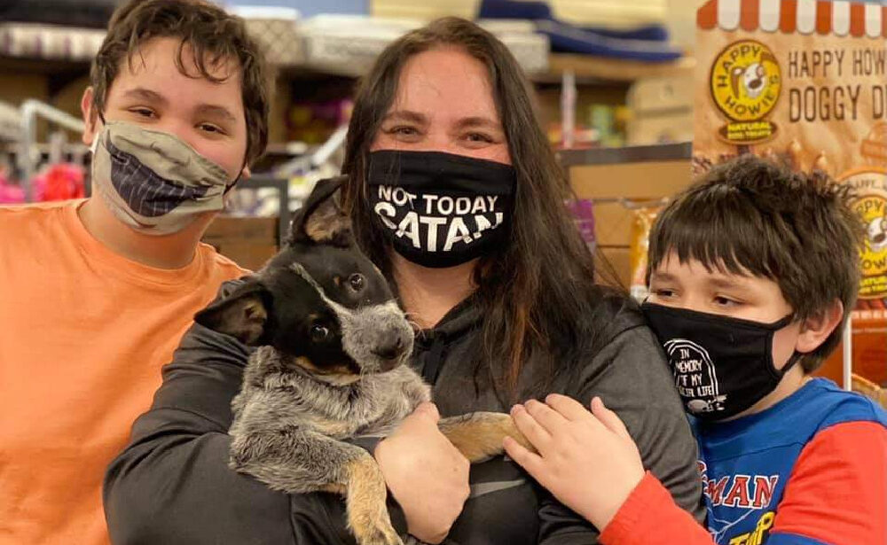 4 Things To Consider When Getting A Puppy For Your Family - Motherhood ...